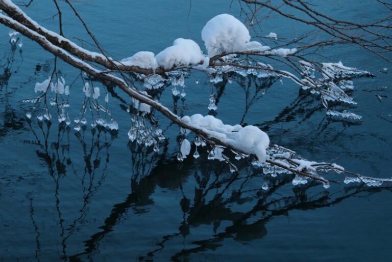 山本 学 Manabu Yamamoto - 日本風景写真家協会